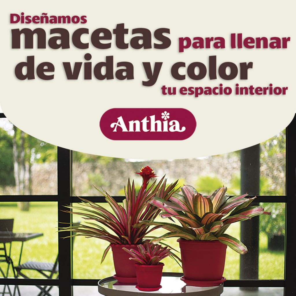 Inicio - Fercon