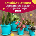 Inicio - Fercon